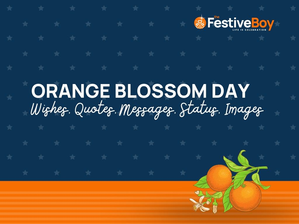 475+ Orange Quotes Will Add Color to Your Life! (Images)