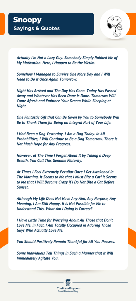 334+ Snoopy Quotes & Sayings To Brighten Your Day (Images) - Thewordyboy